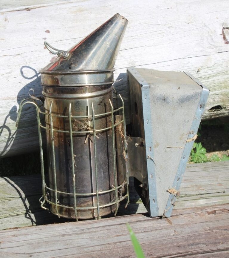 15 Essential Beekeeping Tools + Supplies - Mama on the Homestead