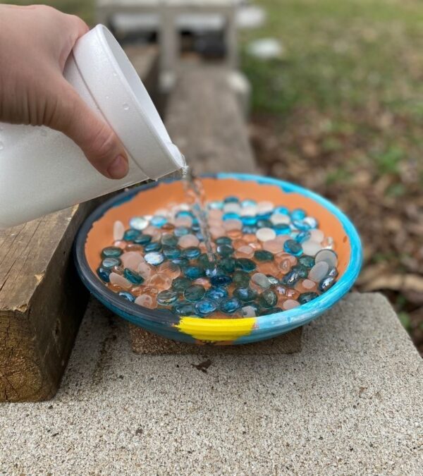 7 Tips for Creating a Bee Watering Station - Mama on the Homestead