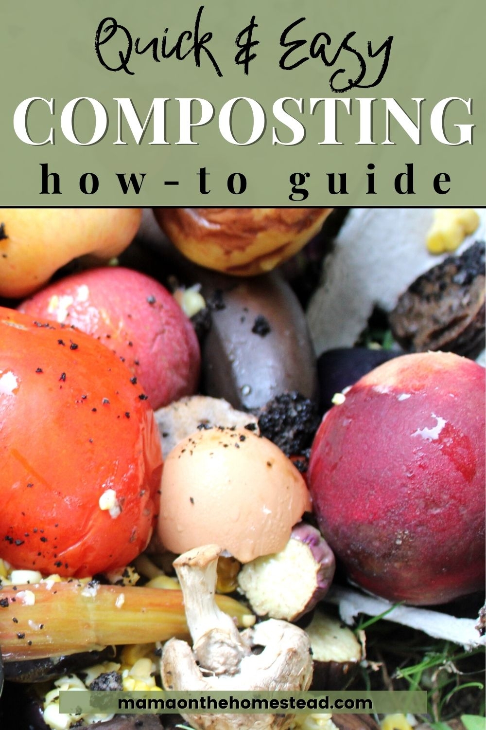 How to Compost Guide for Beginners - Mama on the Homestead