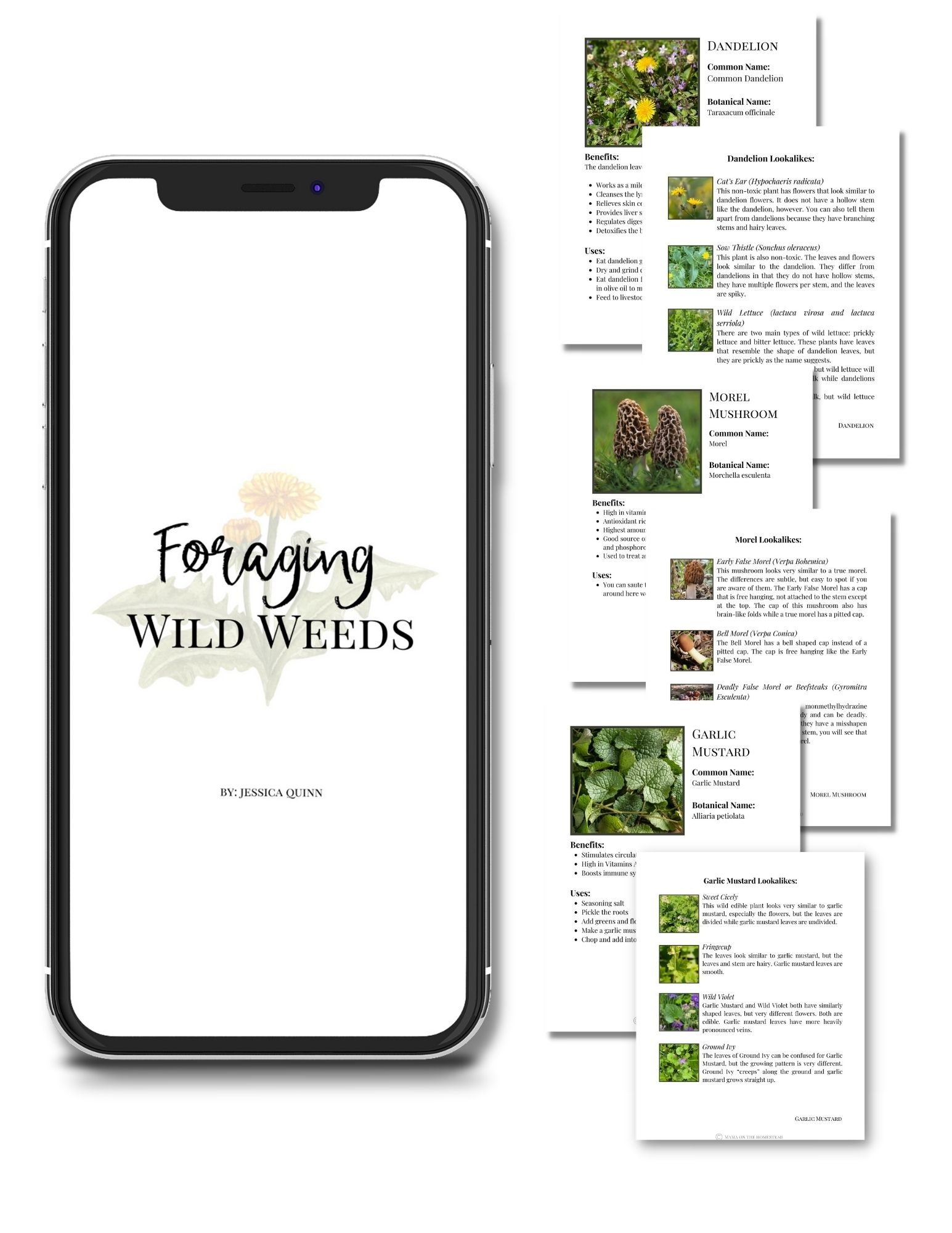 Foraging Wild Weeds E-book - Mama on the Homestead