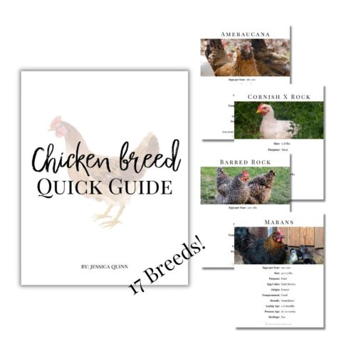 Member Resource Library - Mama on the Homestead