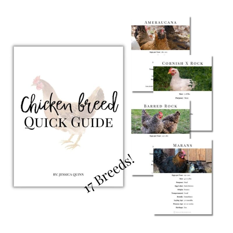 Member Resource Library - Mama on the Homestead