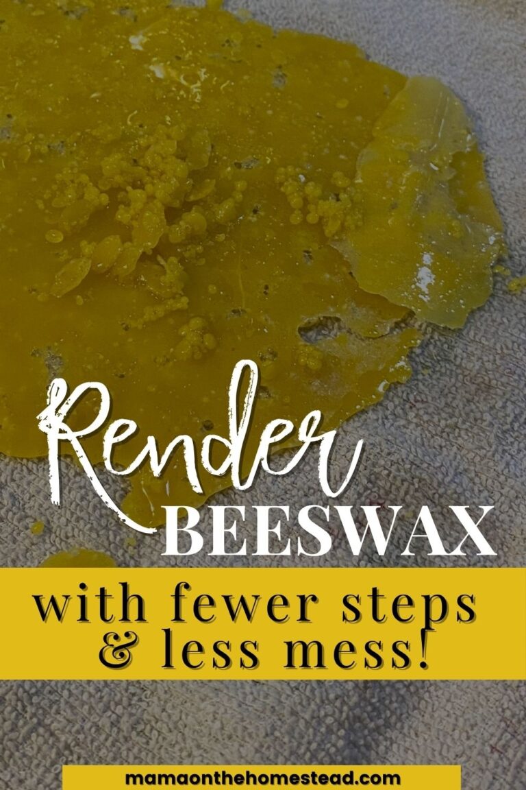 How to Render Beeswax with Less Mess - Mama on the Homestead
