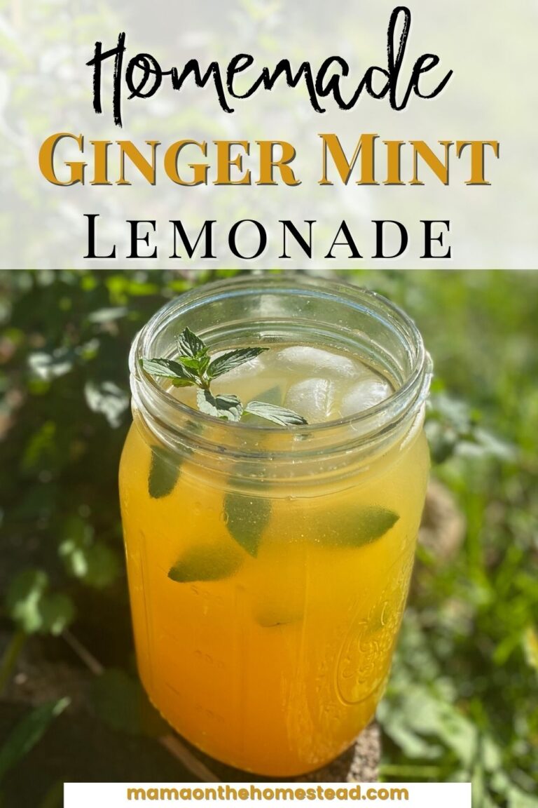 Fresh Mint and Ginger Lemonade - Mama on the Homestead