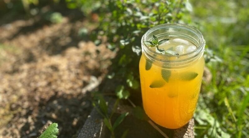 Fresh Mint and Ginger Lemonade - Mama on the Homestead