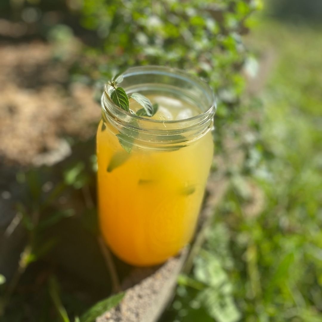 Fresh Mint and Ginger Lemonade - Mama on the Homestead