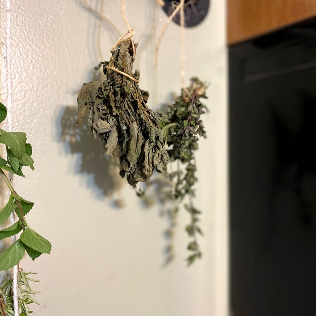 How to Air-Dry Herbs: The Hang Drying Process - Mama on the Homestead