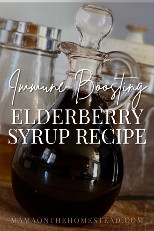 Homemade Elderberry Syrup Recipe for Immune Support - Mama on the Homestead