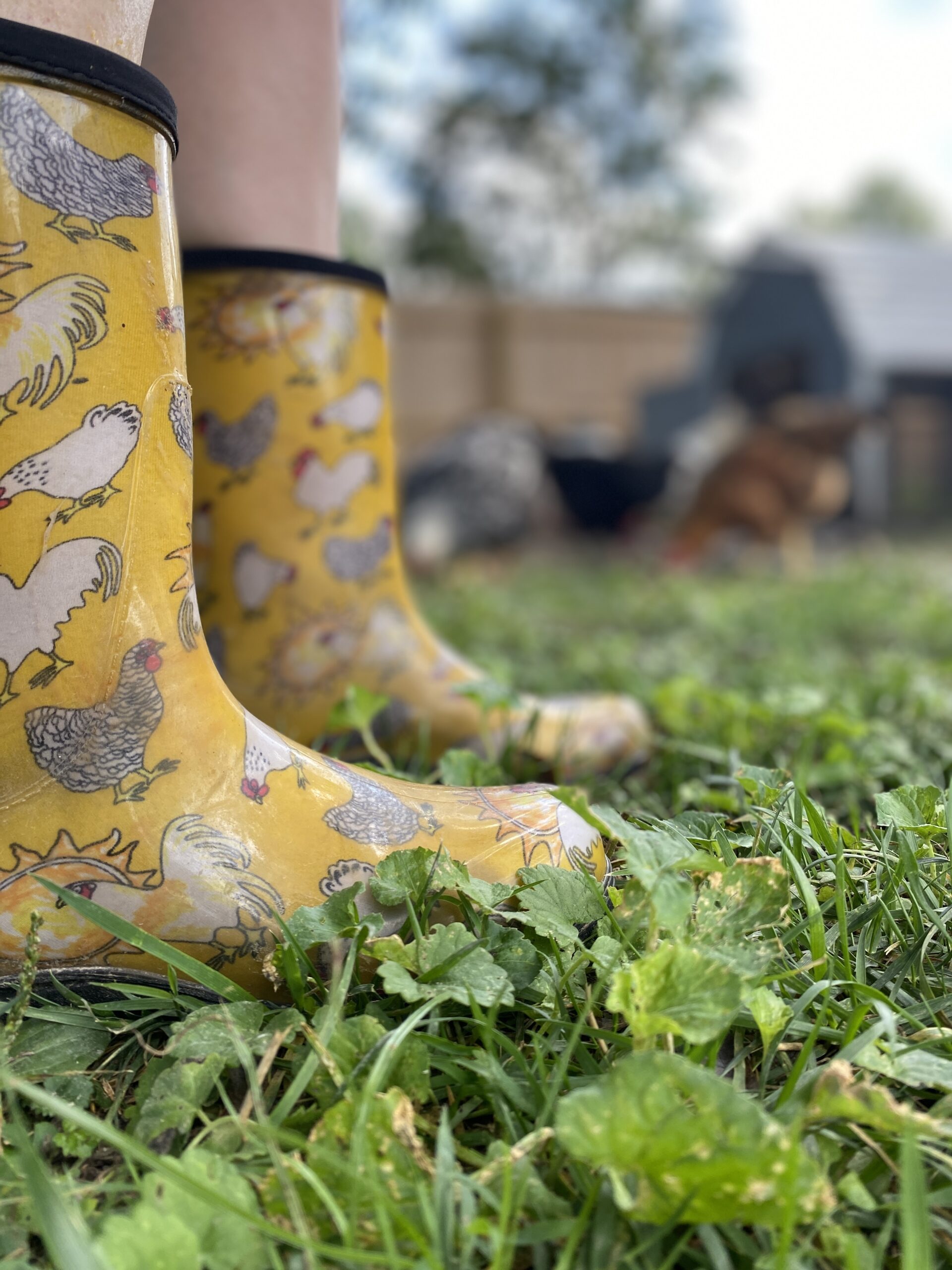 The Homestead Apparel Shop - Mama on the Homestead