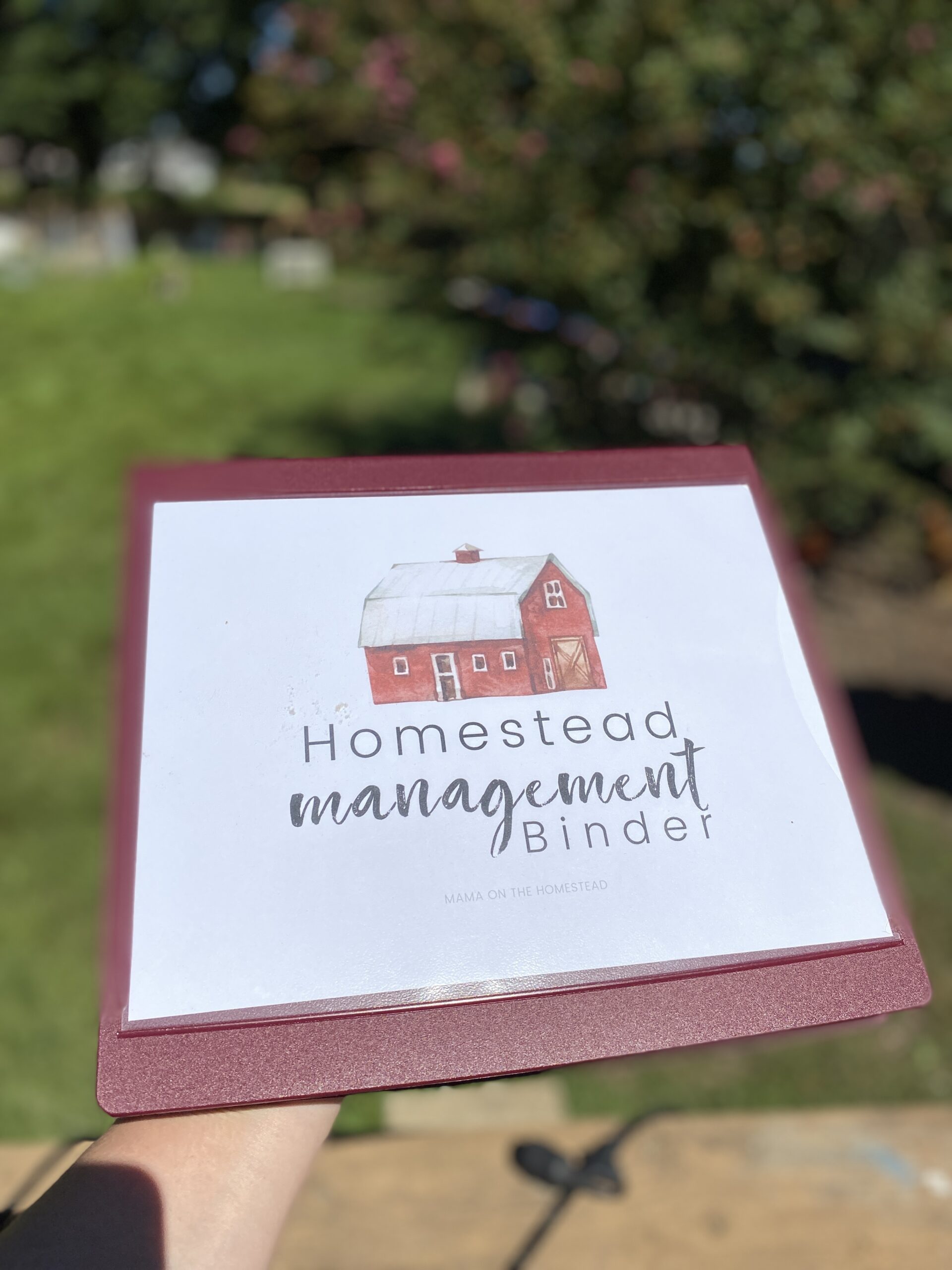 The Mama on the Homestead Shop - Mama on the Homestead