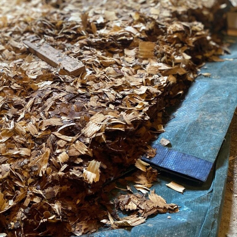 6 Safe Heat Lamp Alternatives for the Homestead - Mama on the Homestead