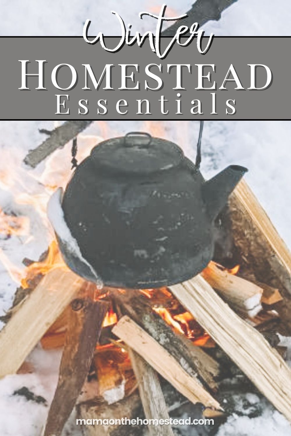 30+ Winter Homestead Essentials to Have on Hand - Mama on the Homestead