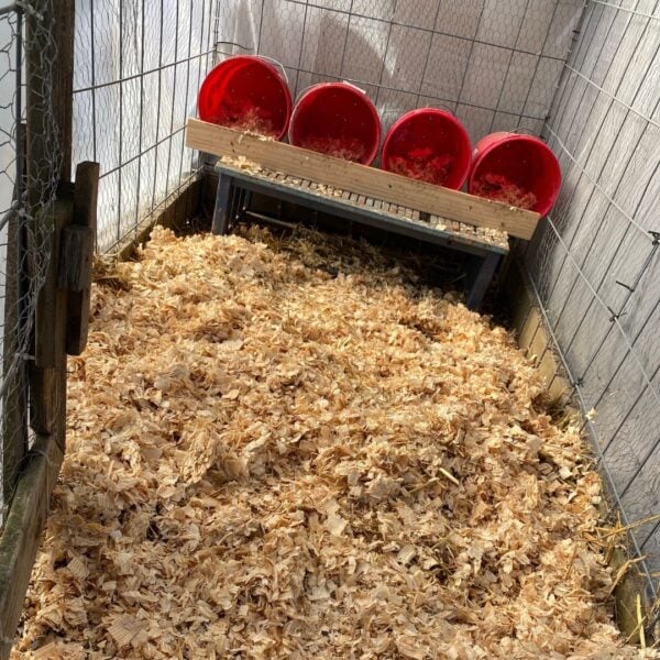 Using the Deep Litter Method in the Chicken Coop - Mama on the Homestead