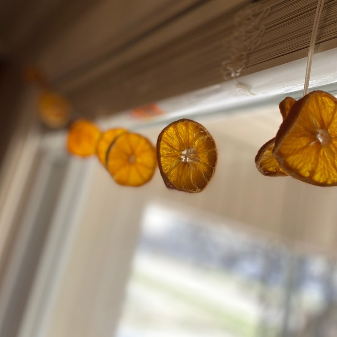 DIY Dried Citrus Ornaments for the Holidays - Mama on the Homestead