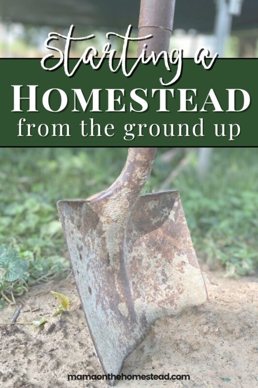 Starting a Homestead: 5 Important Questions to Ask - Mama on the Homestead