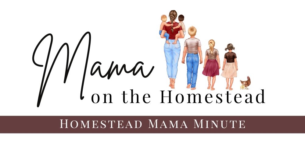 About - Mama on the Homestead