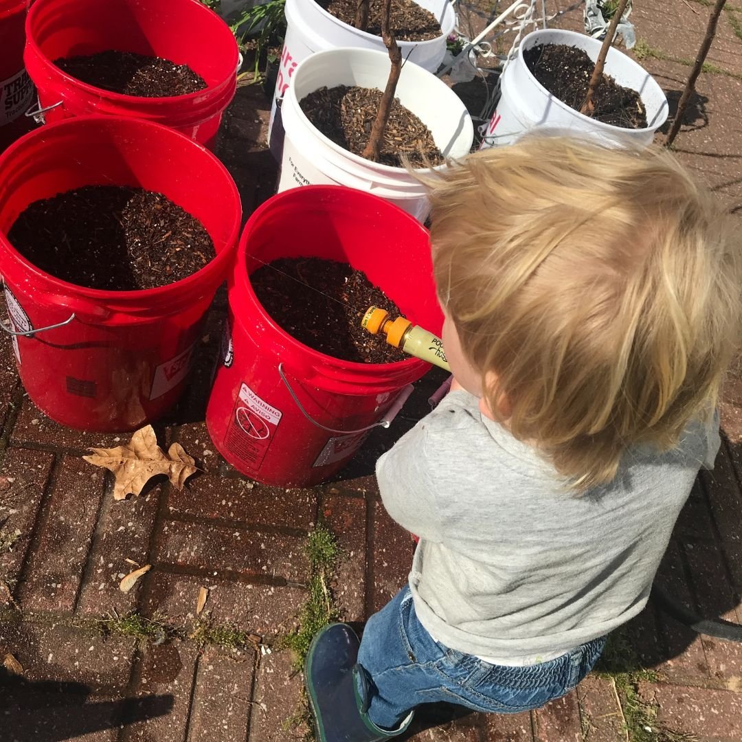 12 5-Gallon Bucket Projects for the Homestead - Mama on the Homestead