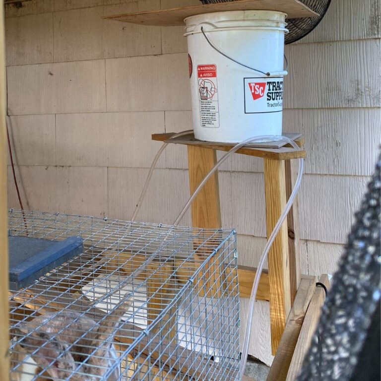 12 5-Gallon Bucket Projects for the Homestead - Mama on the Homestead