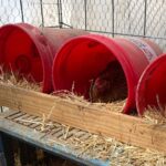 How to Make a DIY Bucket Chicken Nest Box - Mama on the Homestead