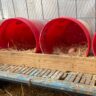 How to Make a DIY Bucket Chicken Nest Box - Mama on the Homestead