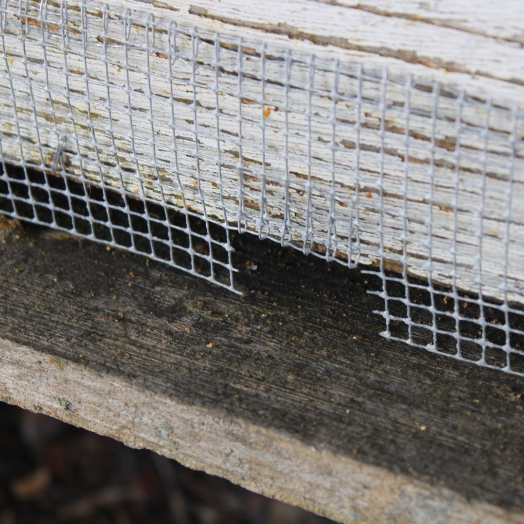 How to Inspect a Beehive: Everything You Need to Know - Mama on the ...