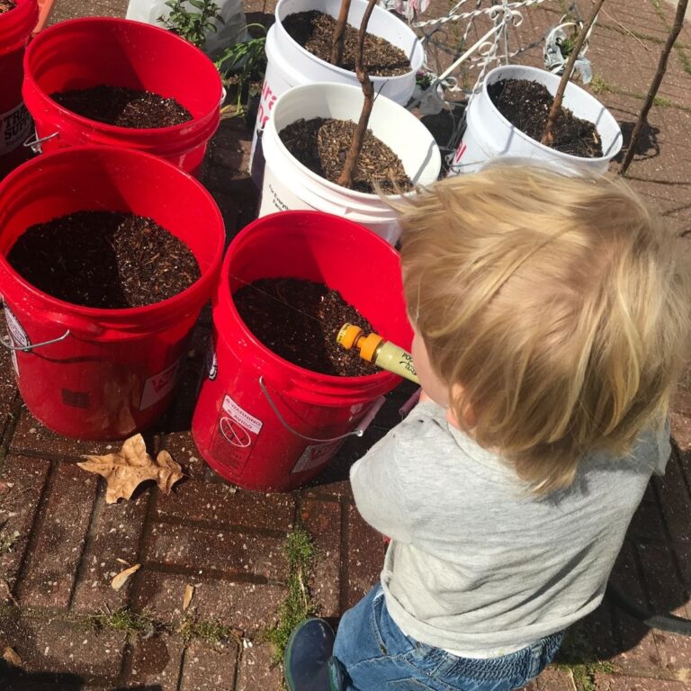 How to Set Up a DIY Bucket Container Garden - Mama on the Homestead