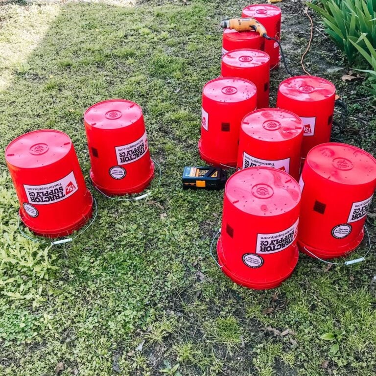 How to Set Up a DIY Bucket Container Garden - Mama on the Homestead