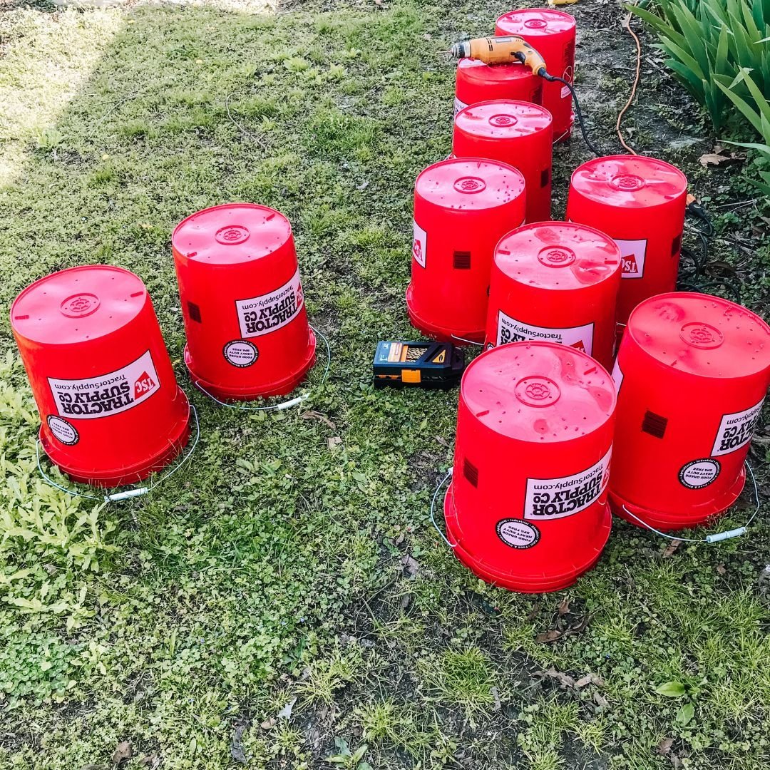 How to Set Up a DIY Bucket Container Garden - Mama on the Homestead