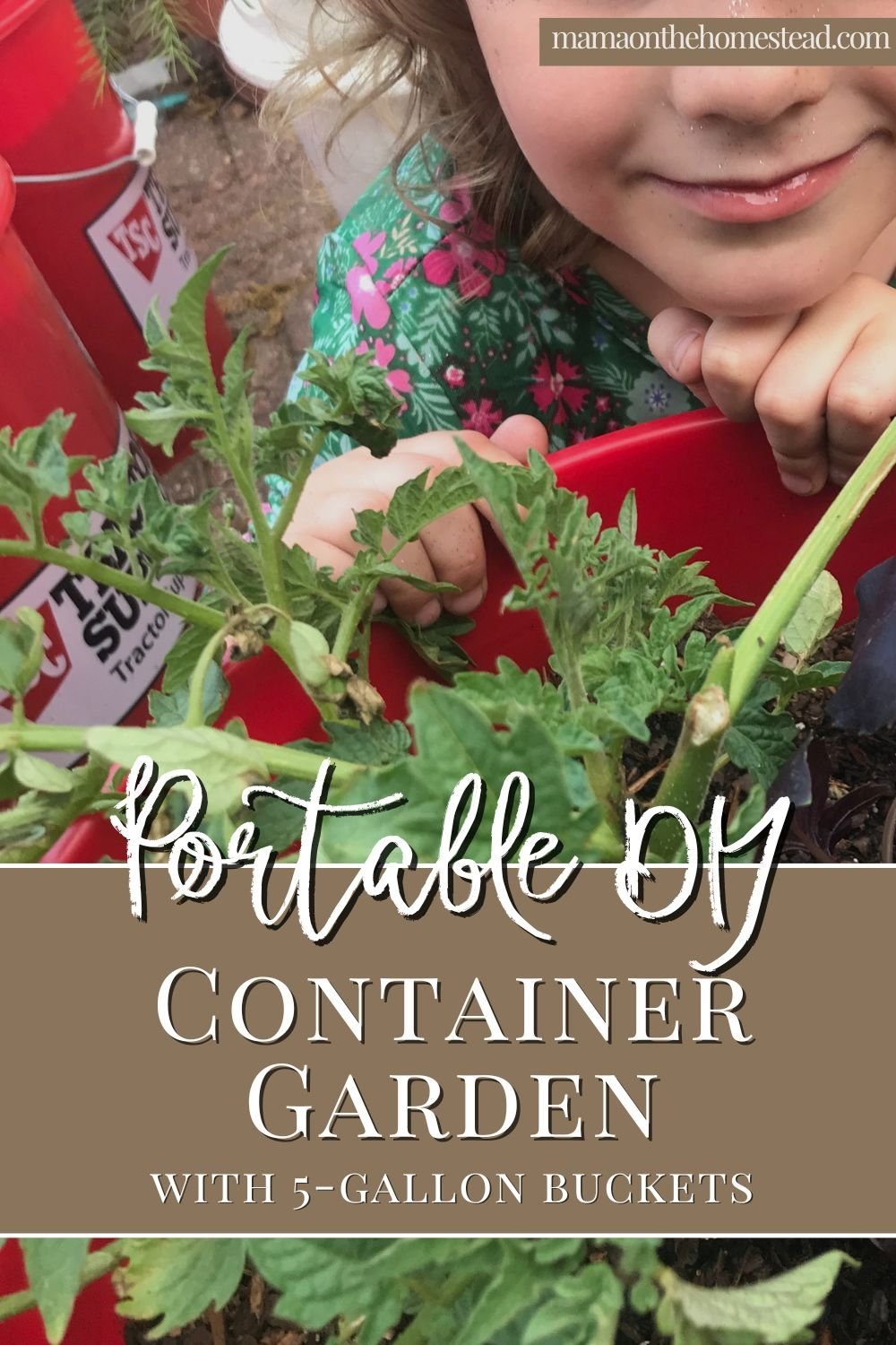 How to Set Up a DIY Bucket Container Garden - Mama on the Homestead