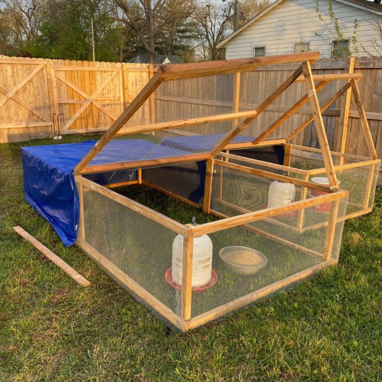 How to Build a DIY Chicken Tractor for Meat Birds - Mama on the Homestead