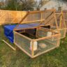 How to Build a DIY Chicken Tractor for Meat Birds - Mama on the Homestead