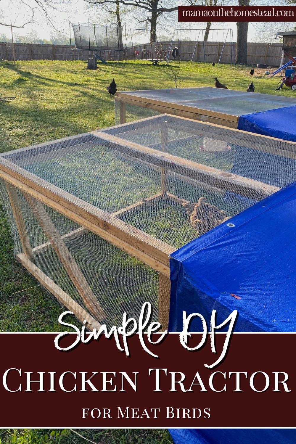 How to Build a DIY Chicken Tractor for Meat Birds - Mama on the Homestead