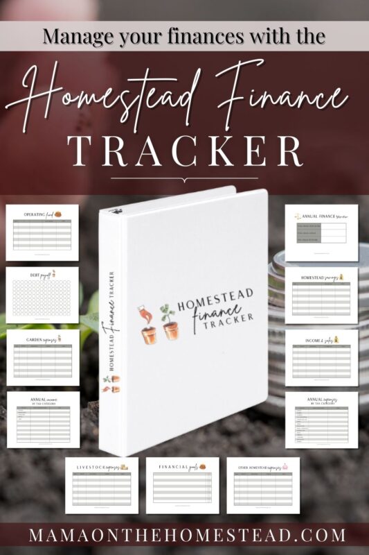 The Homestead Finance Tracker: PDF - Mama on the Homestead