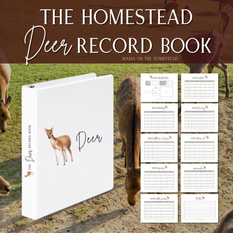 All Homestead Livestock Record Books - Mama on the Homestead