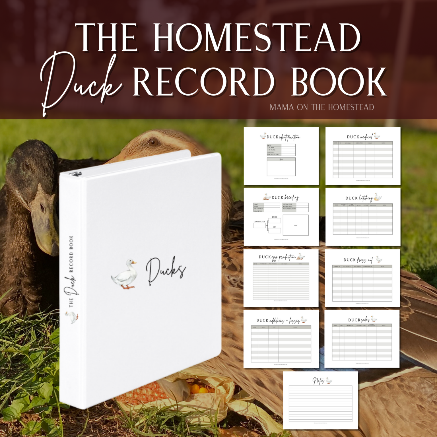 All Homestead Livestock Record Books - Mama on the Homestead