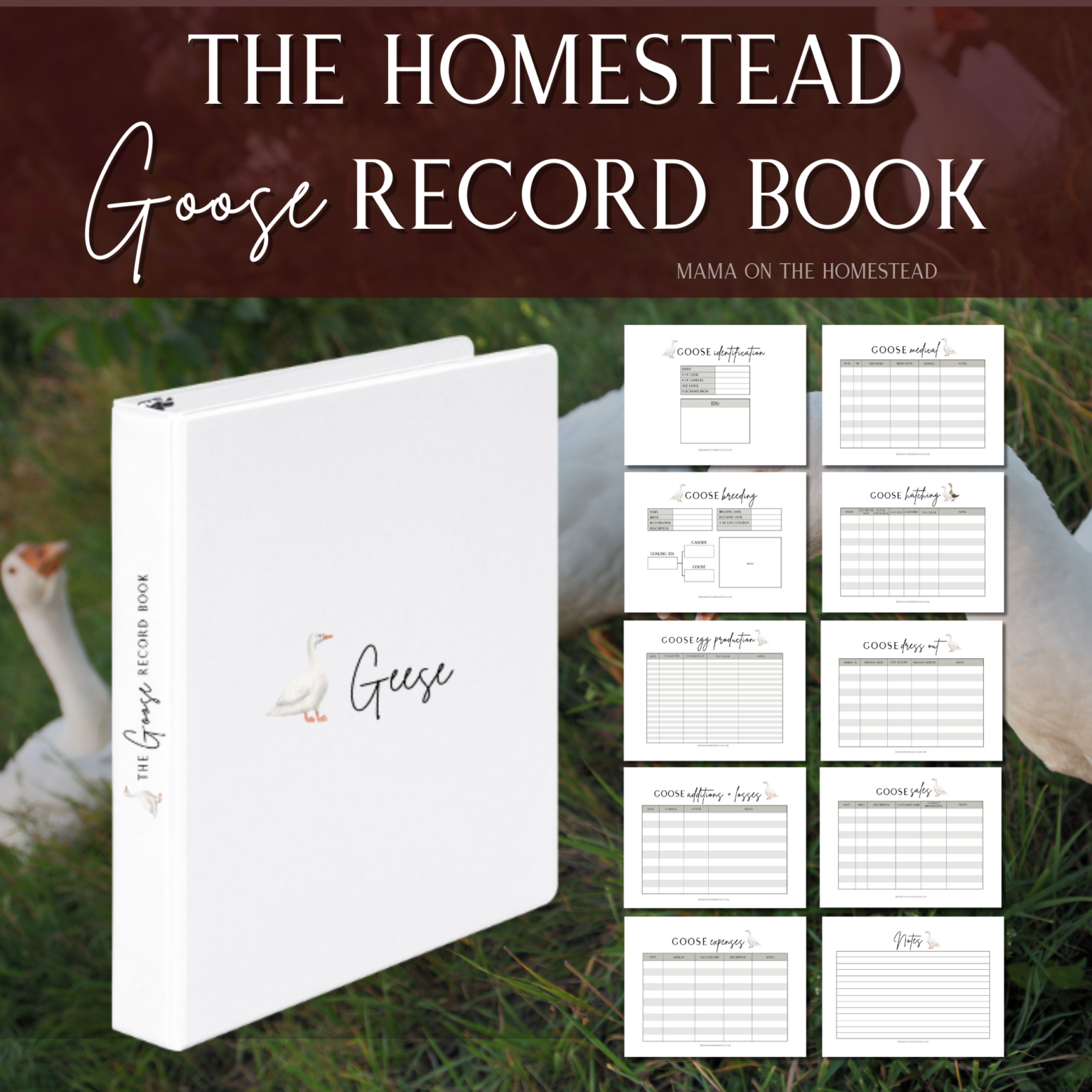 All Homestead Livestock Record Books - Mama on the Homestead