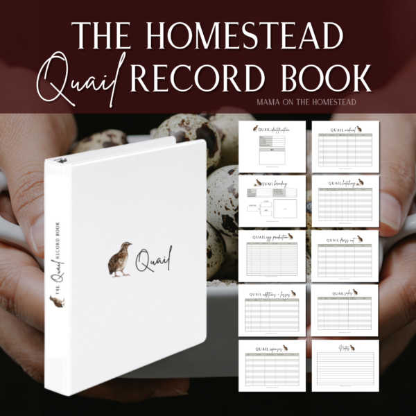 All Homestead Livestock Record Books - Mama on the Homestead
