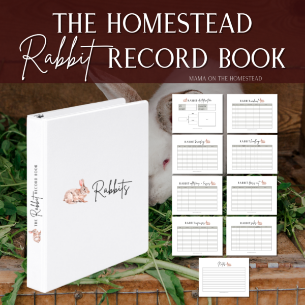 All Homestead Livestock Record Books - Mama on the Homestead