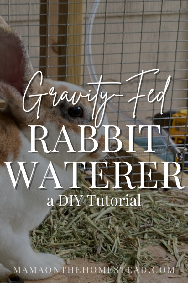 How to Build an Automatic Gravity-Fed Water System For Rabbits - Mama ...