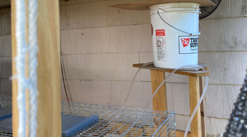 How to Build an Automatic Gravity-Fed Water System For Rabbits - Mama ...