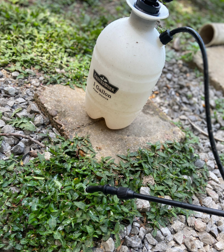 Homemade Natural Weed Spray Recipe - Mama on the Homestead