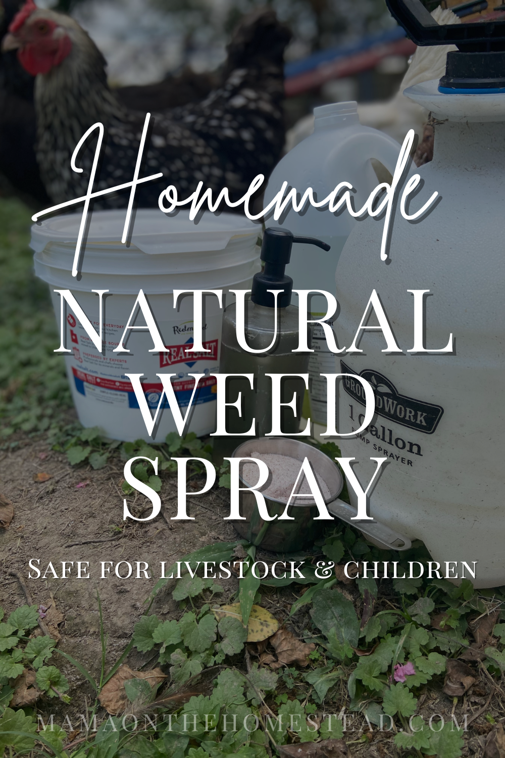 Homemade Natural Weed Spray Recipe - Mama on the Homestead