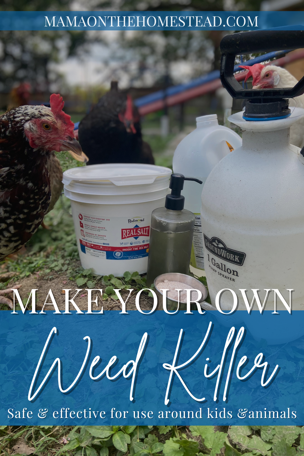 Homemade Natural Weed Spray Recipe - Mama on the Homestead