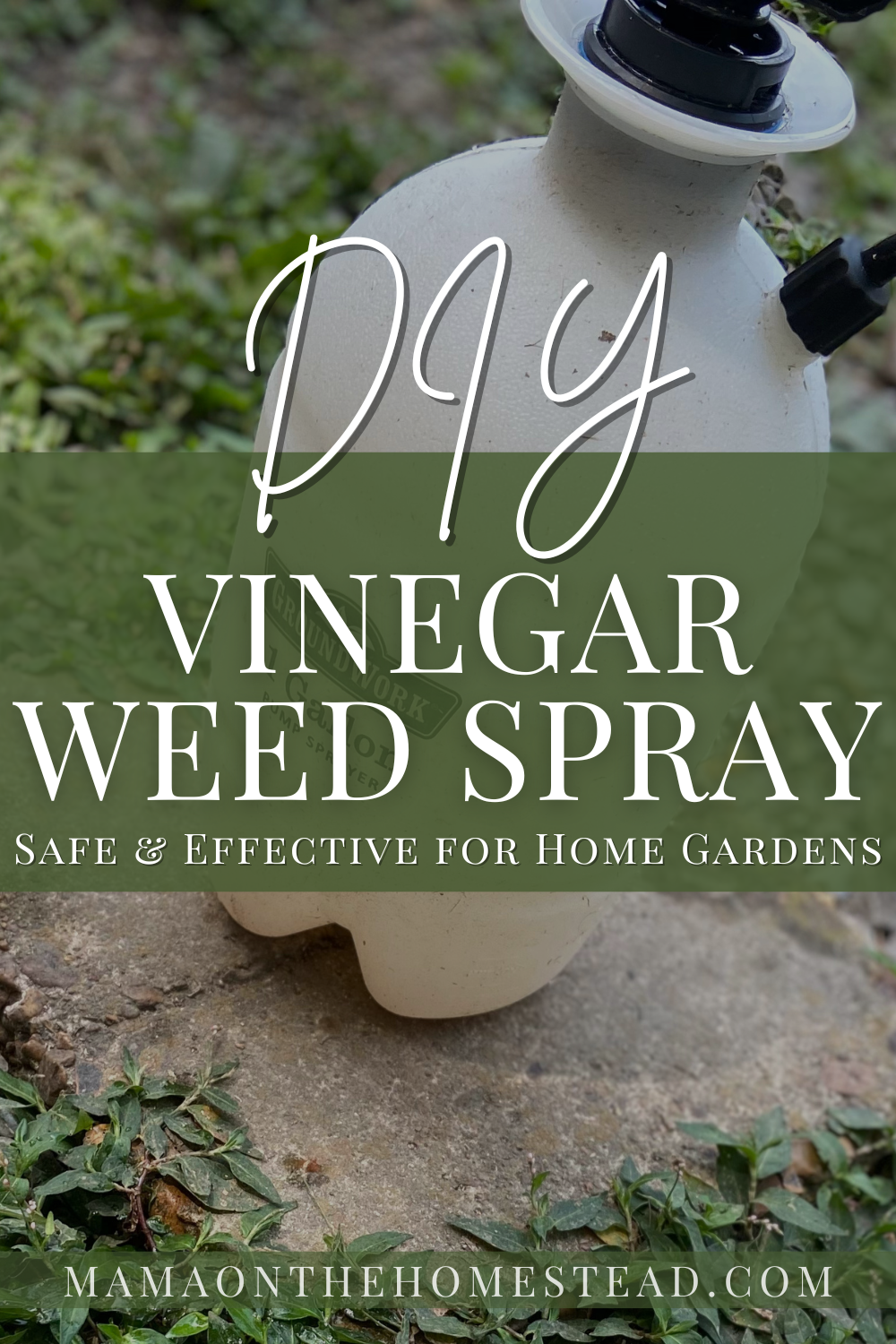 Homemade Natural Weed Spray Recipe - Mama on the Homestead