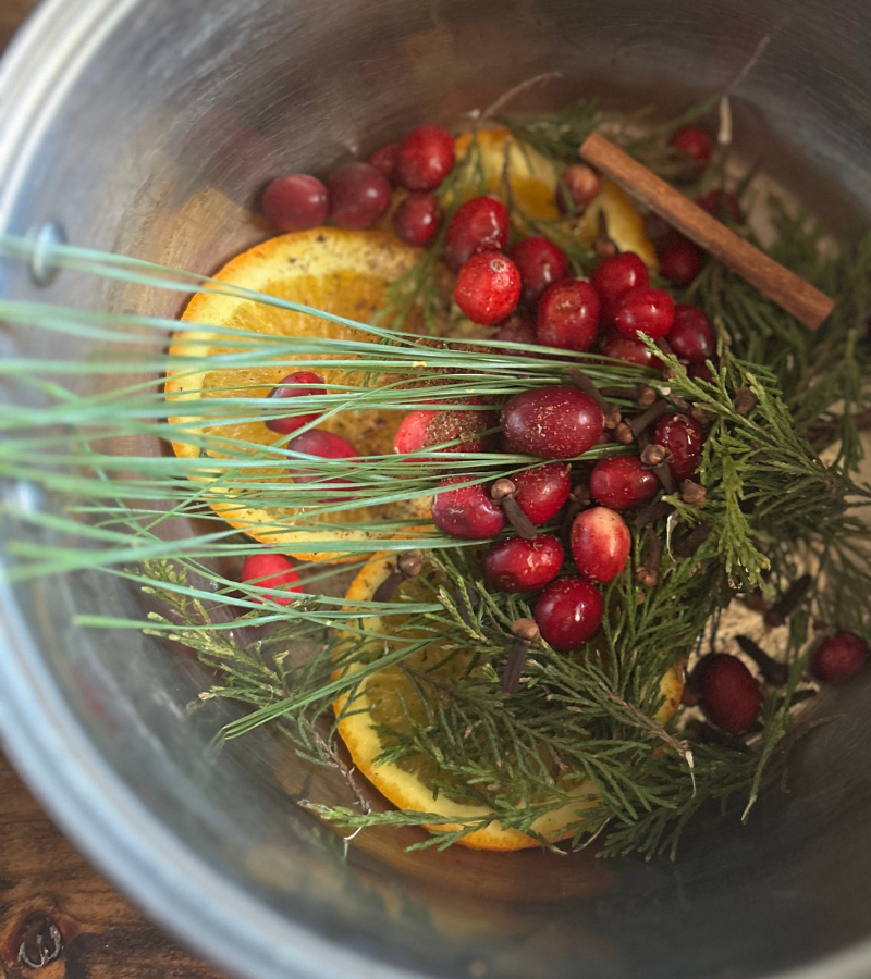 Forest Spice Simmer Pot Recipe | Winter Simmer Pot - Mama on the Homestead